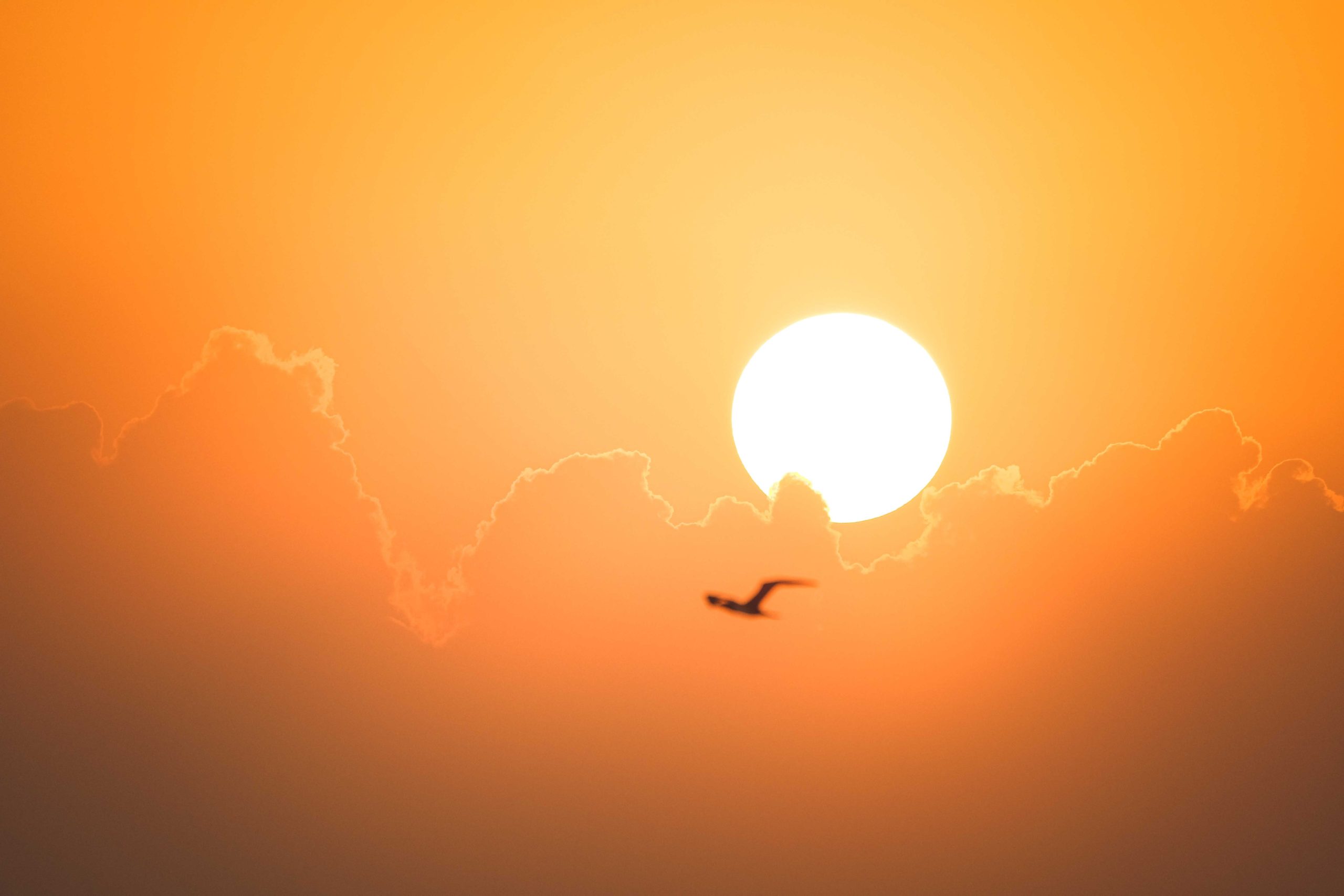 Sun Awareness and Hydration - Baywater Healthcare